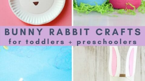 The best rabbit themed books for preschoolers - Celebrating with kids