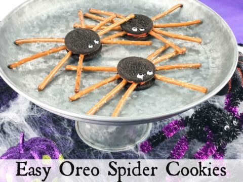 Spider themed snack ideas for kids - Celebrating with kids