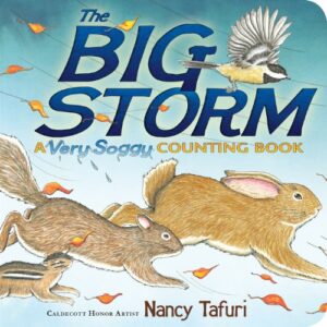 The best weather themed books for preschoolers - Celebrating with kids