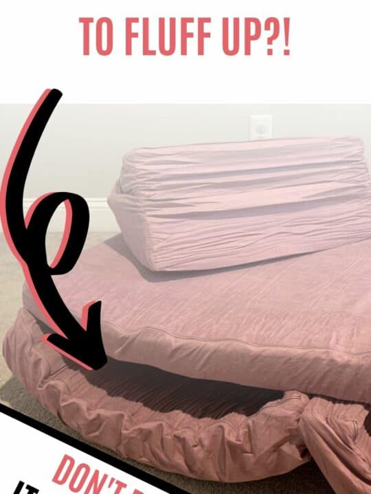 Dinosaur Ice Dig Excavation activity for preschoolers - Celebrating ...