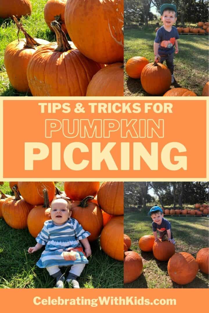 The best tips for pumpkin picking with kids! - Celebrating with kids