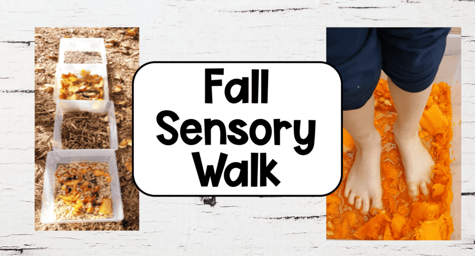 15 Halloween Sensory Bin Ideas - Celebrating with kids