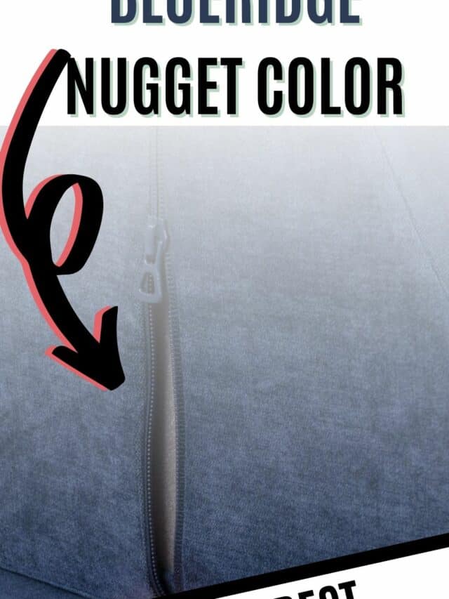 All about the Harbor Nugget Comfort Color - Celebrating with kids