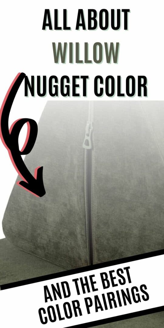 All about the Willow Nugget Comfort Color - Celebrating with kids