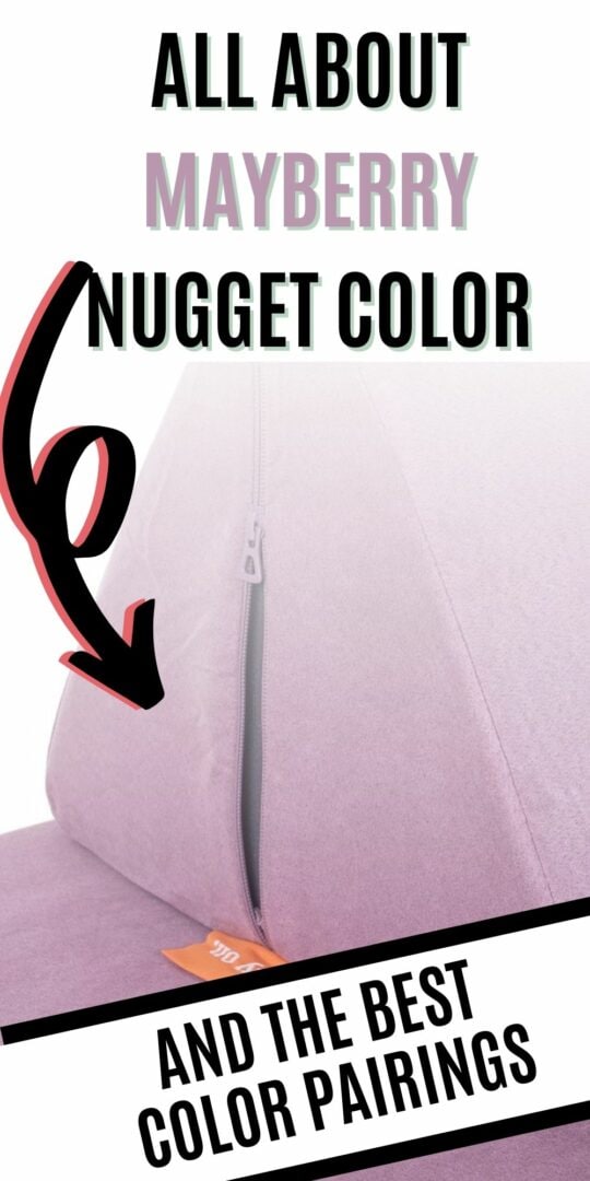 All about the Mayberry Nugget Comfort Color - Celebrating with kids