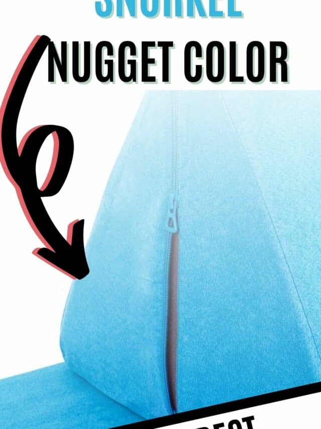 All about the Rodeo Nugget Comfort Color - Celebrating with kids