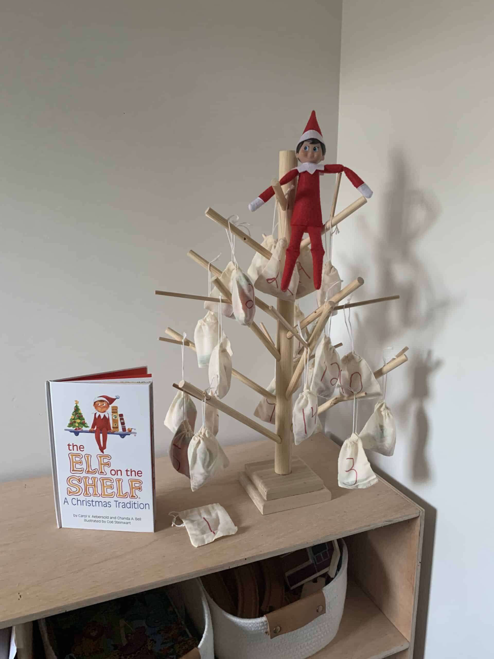 Why your Elf on the Shelf should bring books! - Celebrating with kids