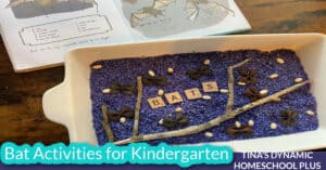40 best bat crafts for kids - Celebrating with kids