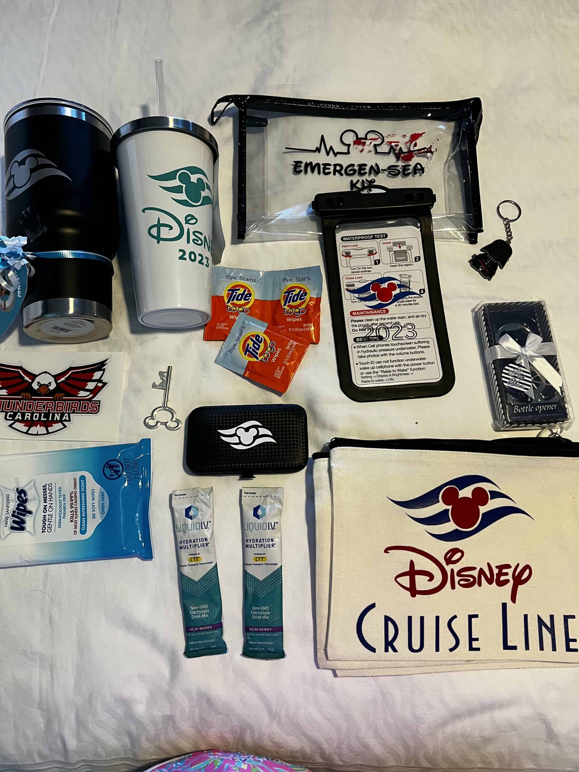 28 pixie dust gift ideas for a Disney cruise - Celebrating with kids
