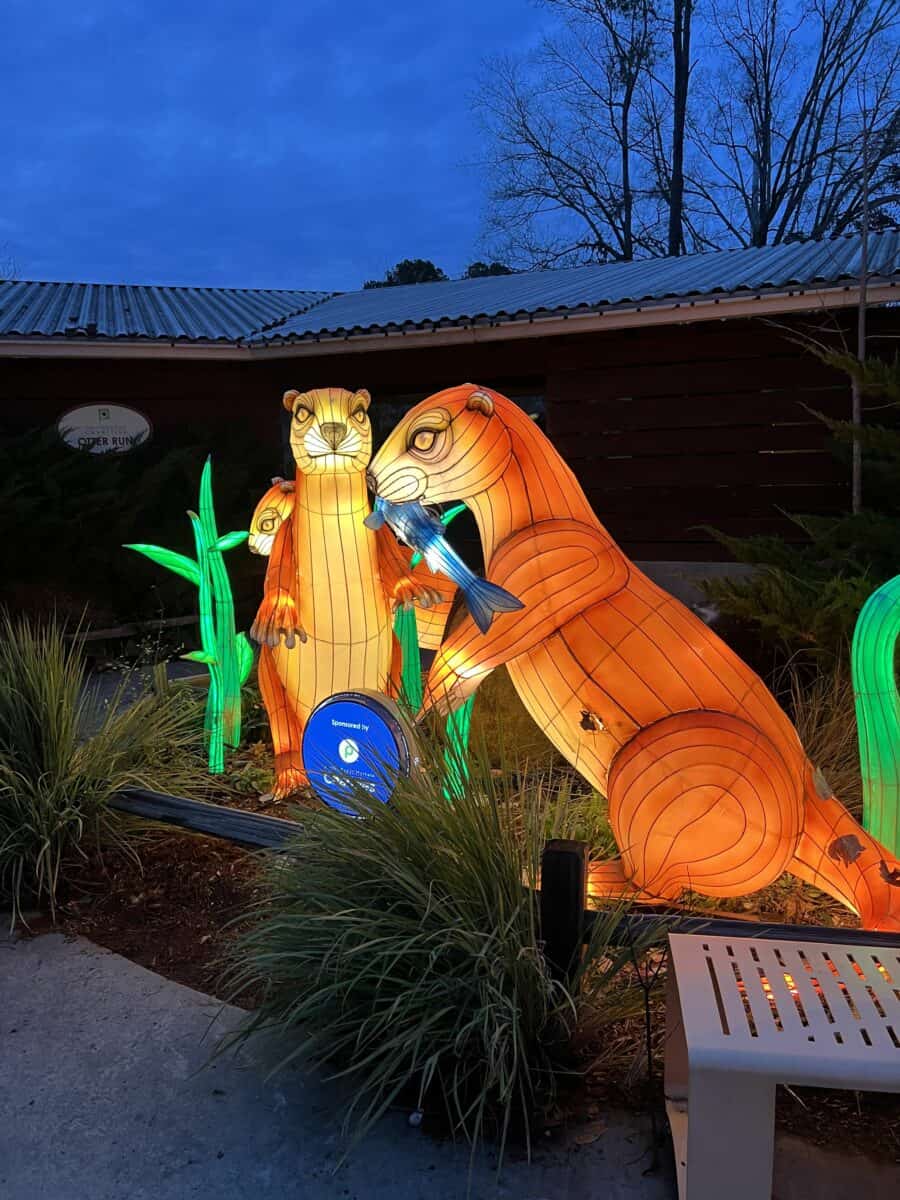 Is Wild Lights at Riverbanks Zoo worth it? - Celebrating with kids