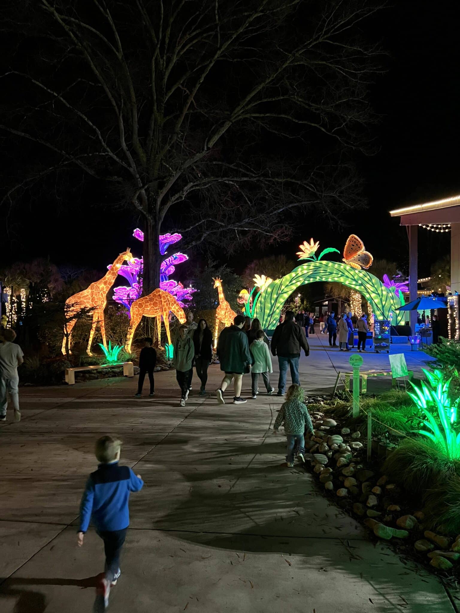 Is Wild Lights at Riverbanks Zoo worth it? - Celebrating with kids