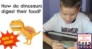 21 fun and easy Dinosaur STEM Activities - Celebrating with kids