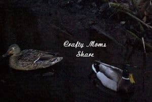 32 Easy Spring Crafts for Toddlers Using Paper Plates - Celebrating ...