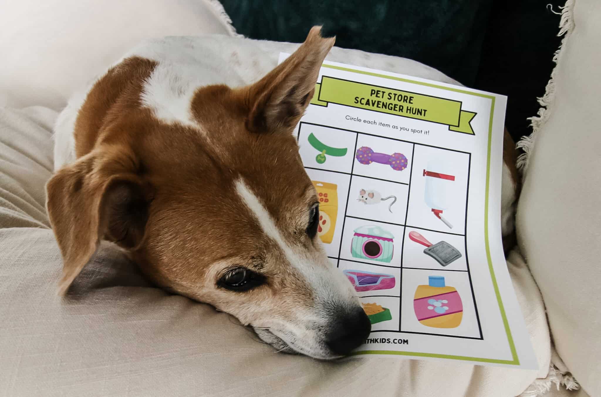 Pet Store Scavenger Hunt - free printable! - Celebrating with kids