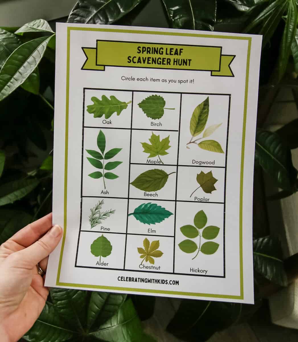 Leaf scavenger hunt - free printable! - Celebrating with kids