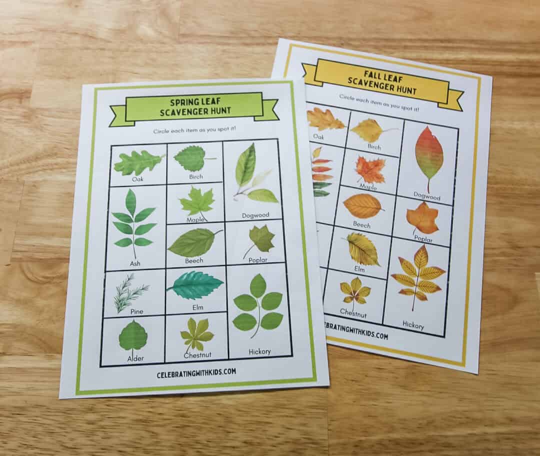 Leaf scavenger hunt - free printable! - Celebrating with kids
