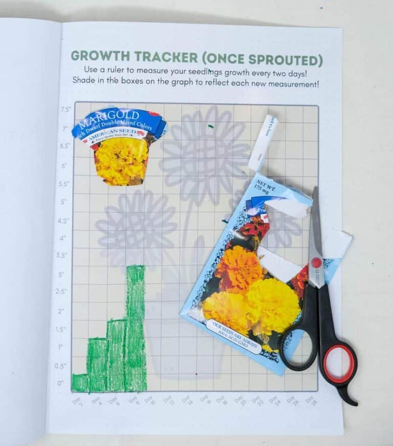 34 Creative Spring Crafts Preschool Printables - Celebrating with kids