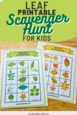 Leaf scavenger hunt - free printable! - Celebrating with kids