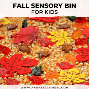 12 Best Fall Sensory Bin Ideas for Kids - Celebrating with kids