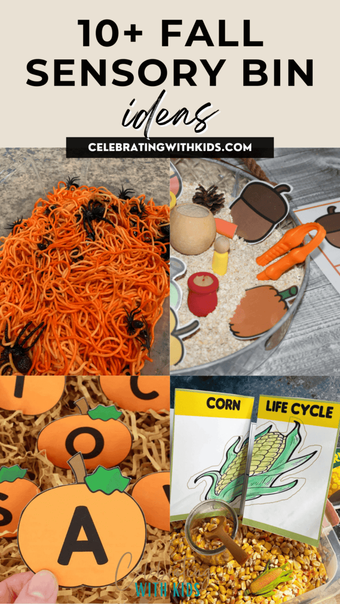 12 Best Fall Sensory Bin Ideas for Kids - Celebrating with kids