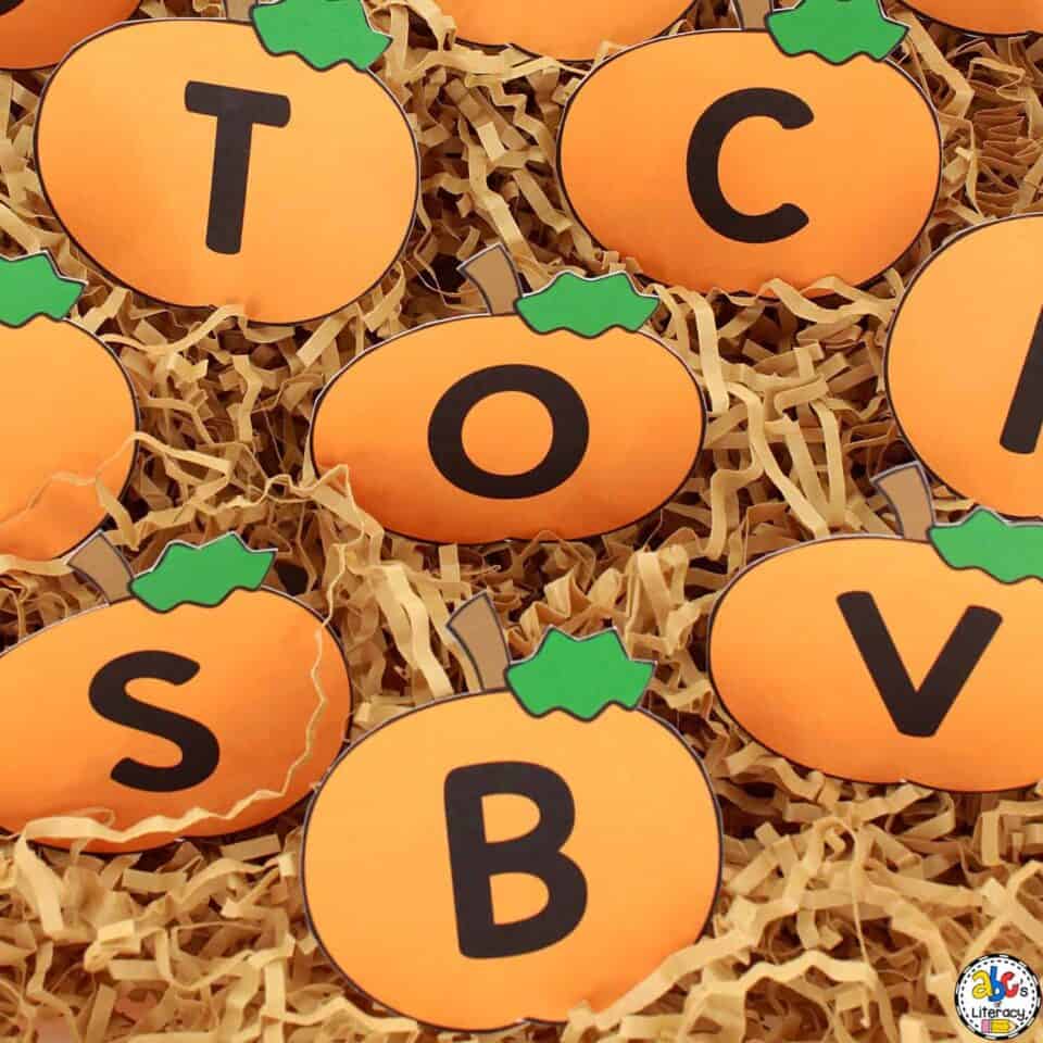 12 Best Fall Sensory Bin Ideas for Kids - Celebrating with kids