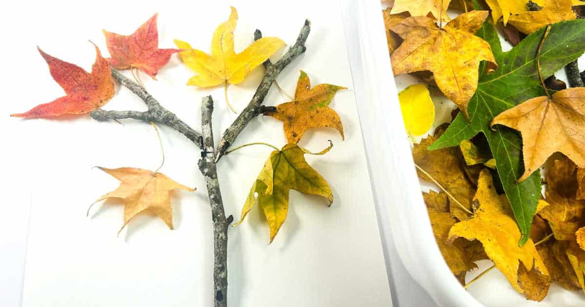 9 Fall Leaf Crafts for Kids: Simple Activities - Celebrating with kids