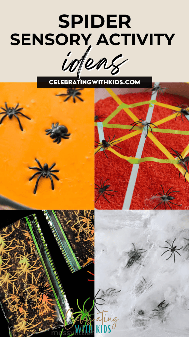 9 Fun Spider Sensory Activity Ideas - Celebrating with kids