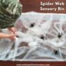 9 Fun Spider Sensory Activity Ideas - Celebrating with kids