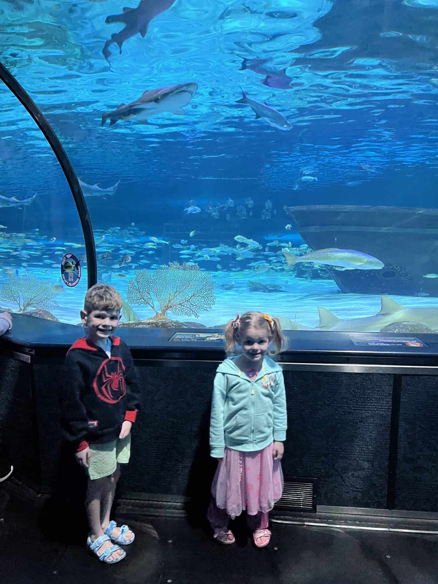 Our Myrtle Beach Spring Break with Kids! - Celebrating with kids
